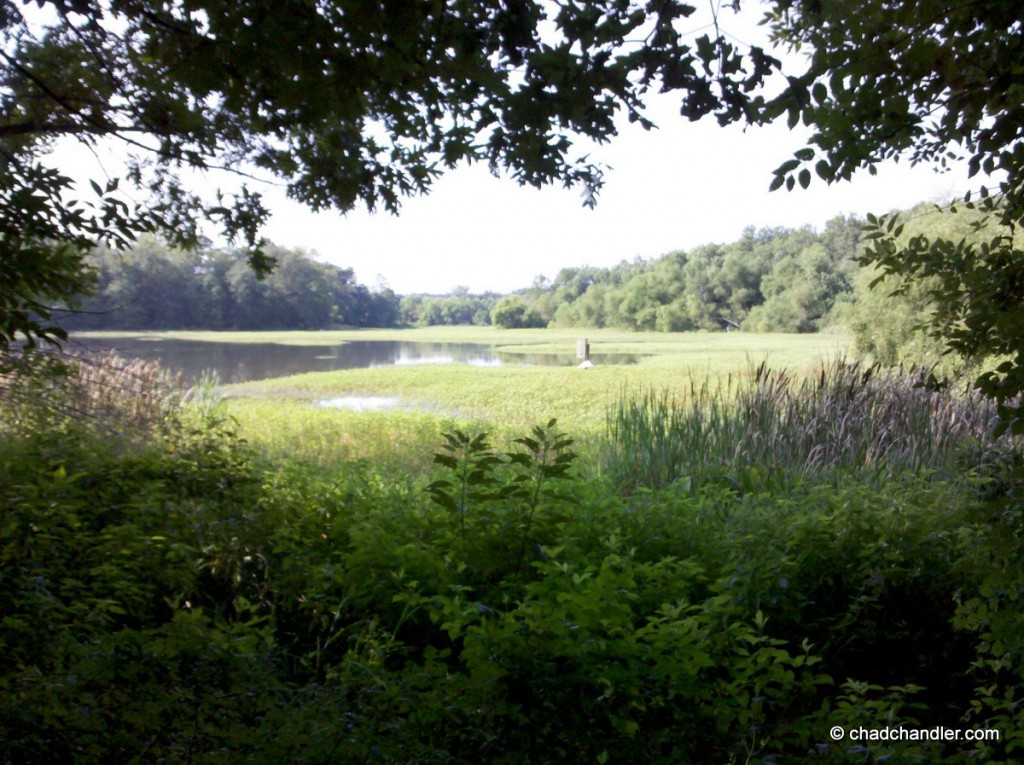 Conestee Park | Chad Chandler